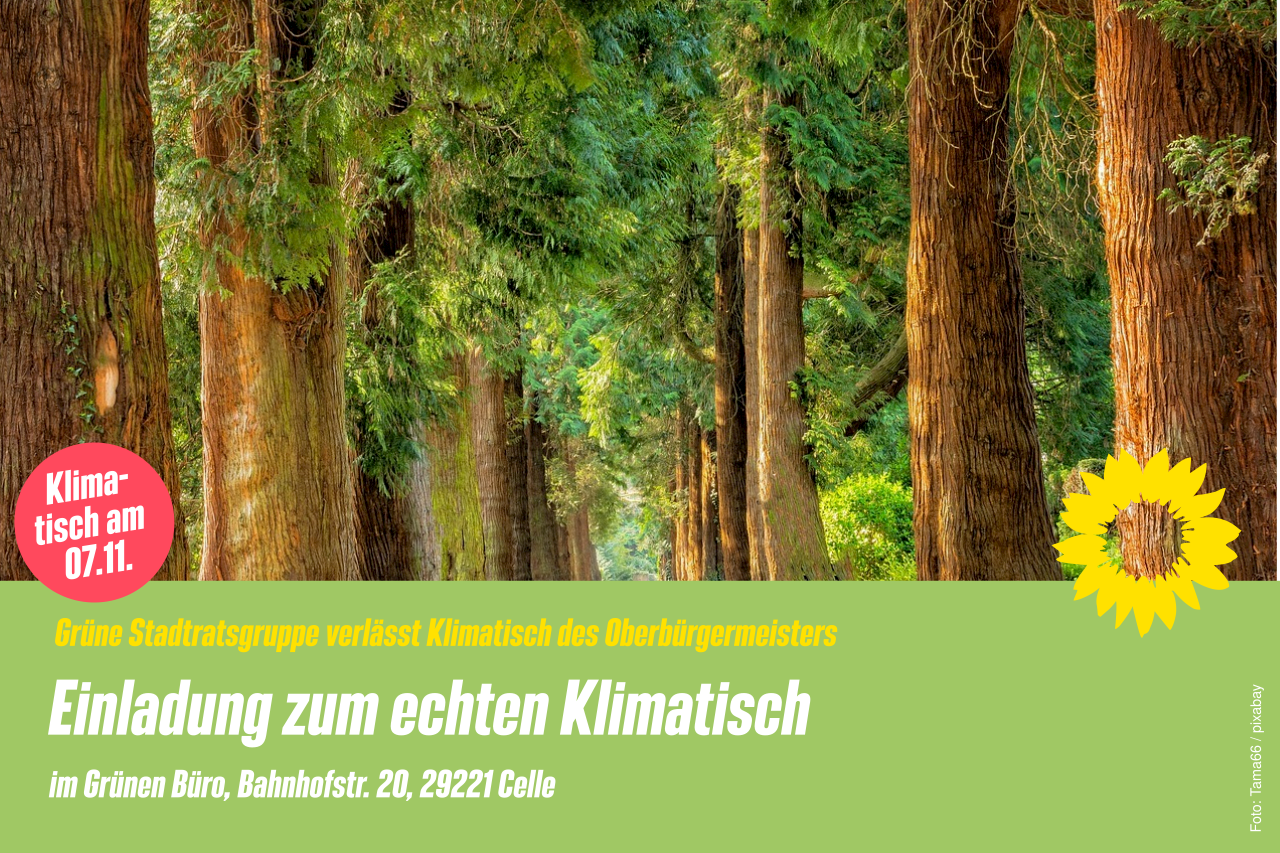 Grüne Stadtratsgruppe verlässt Klimatisch des Oberbürgermeisters: „Wir ...